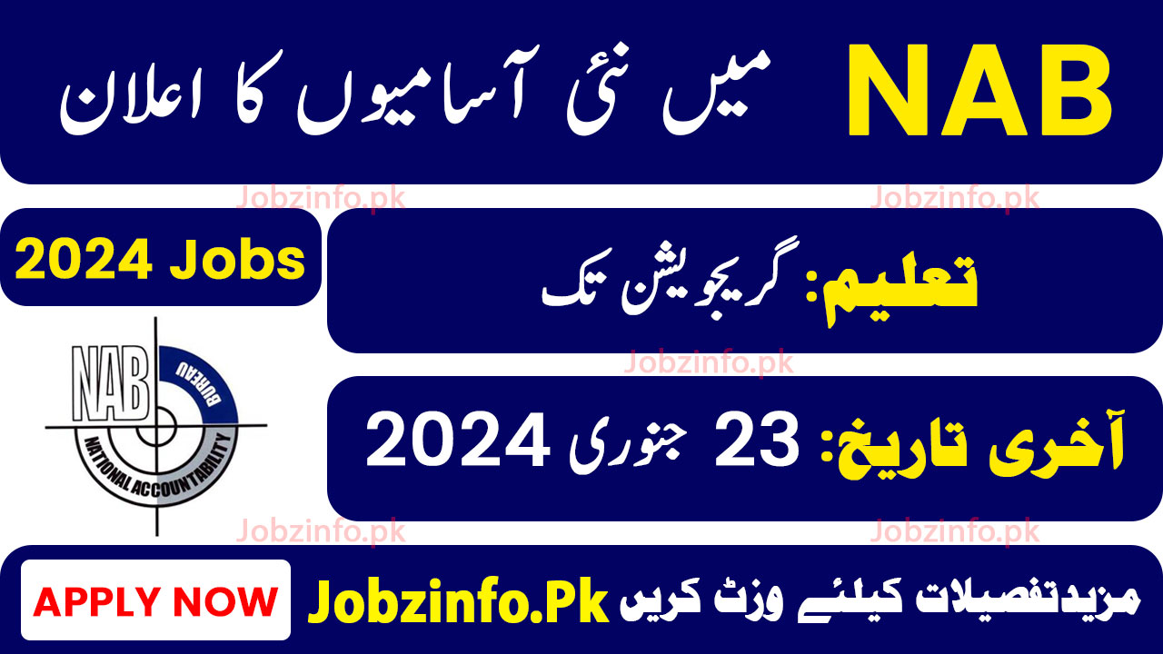 NAB Jobs 2024 Latest Advertisement - Jobz Info
